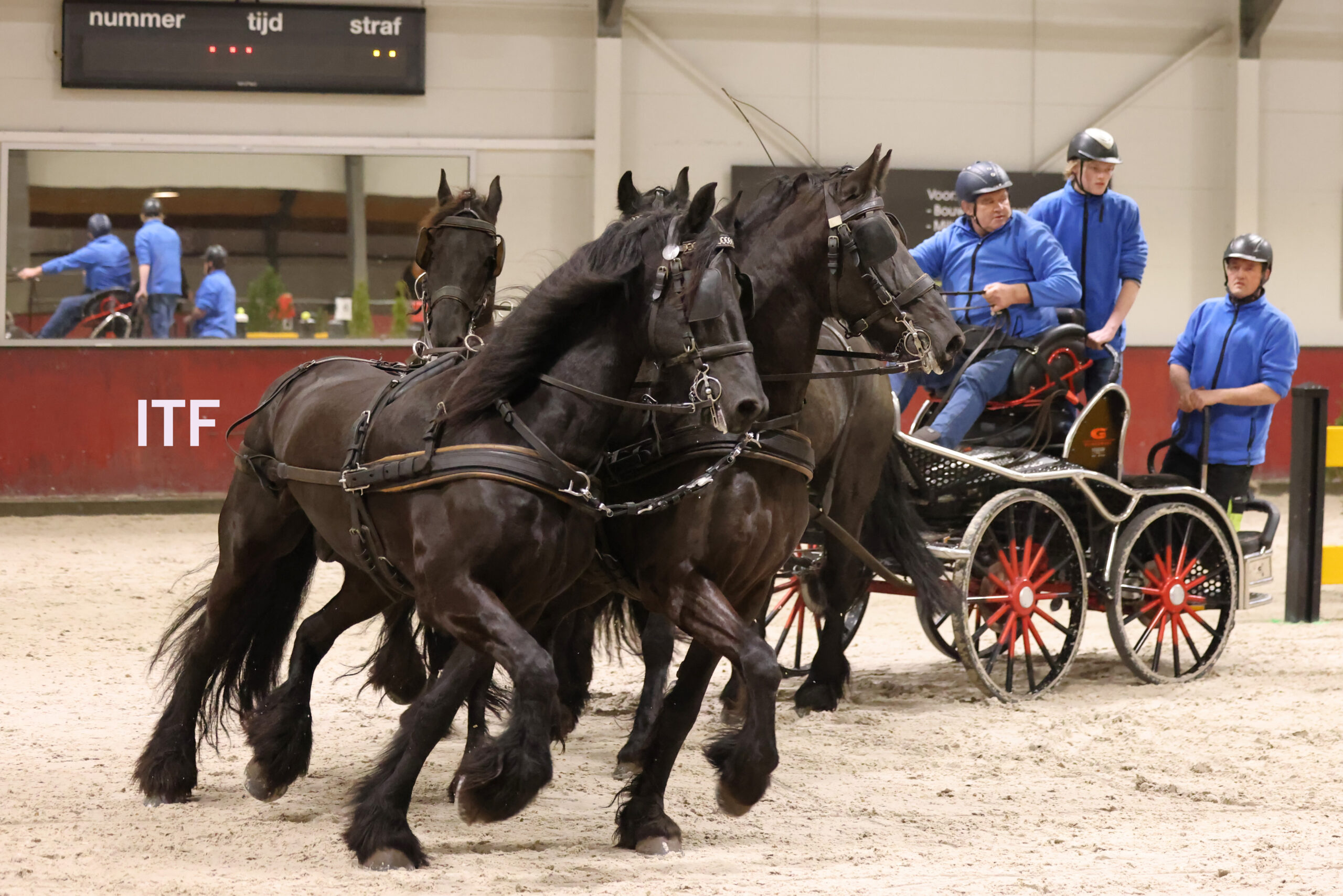 Klaas Kraan doet met zijn vierspan mee aan de Koltec NK cup (met video ...