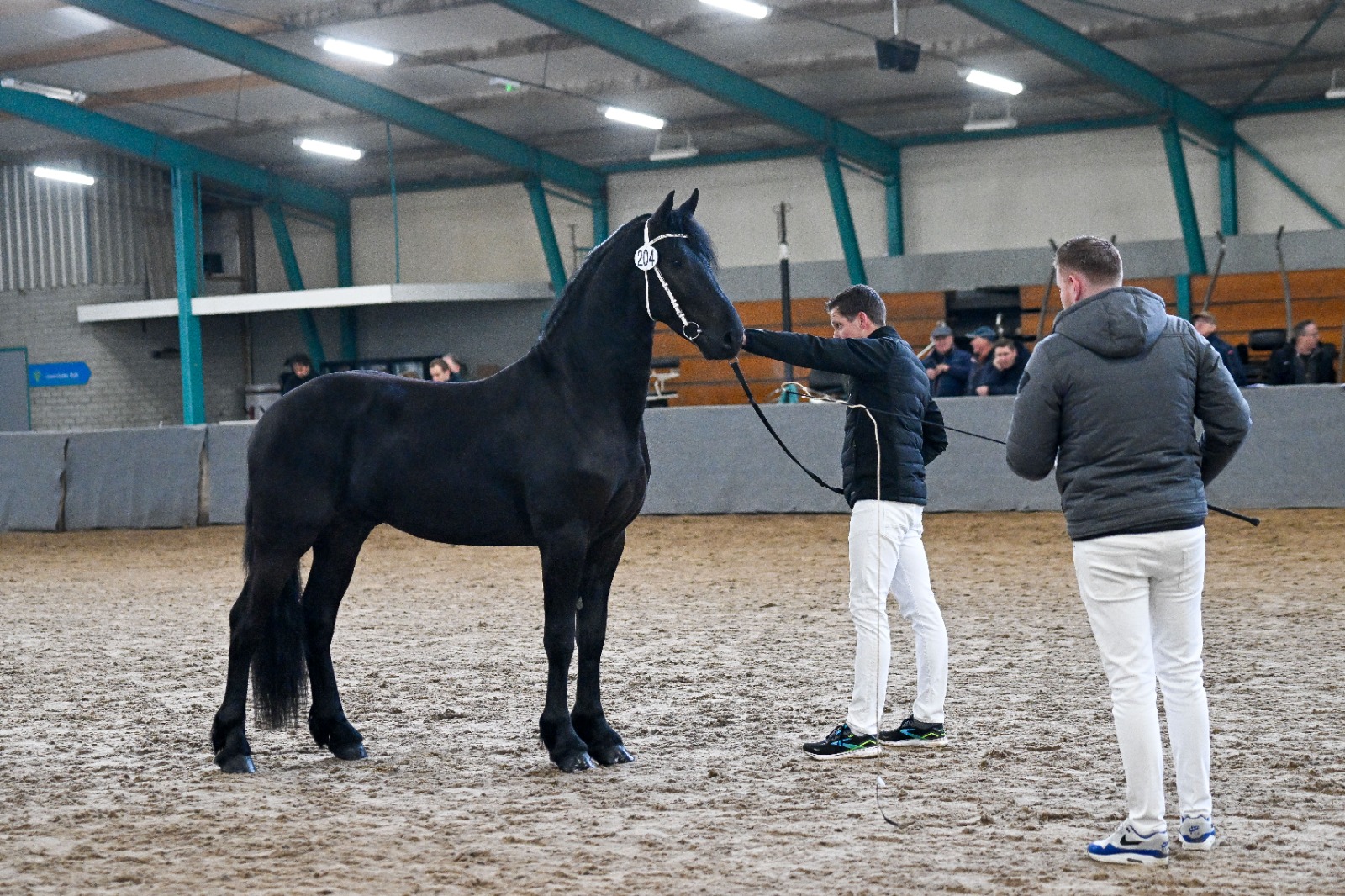 Na- en herkeuring levert voor 6 hengsten ticket voorrijdagen op - KFPS