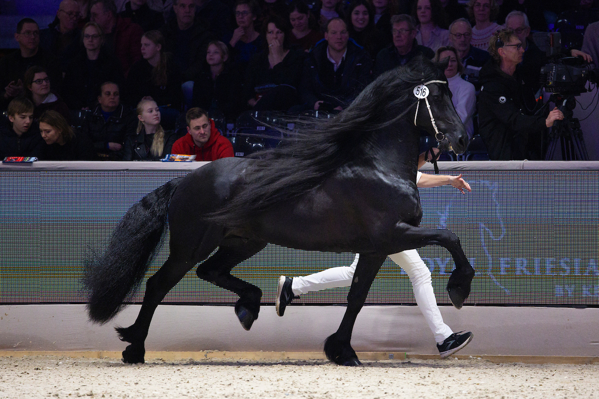 HK Nieuws: Boet 516 bijt het spits af richting de kampioenskeuring (met ...