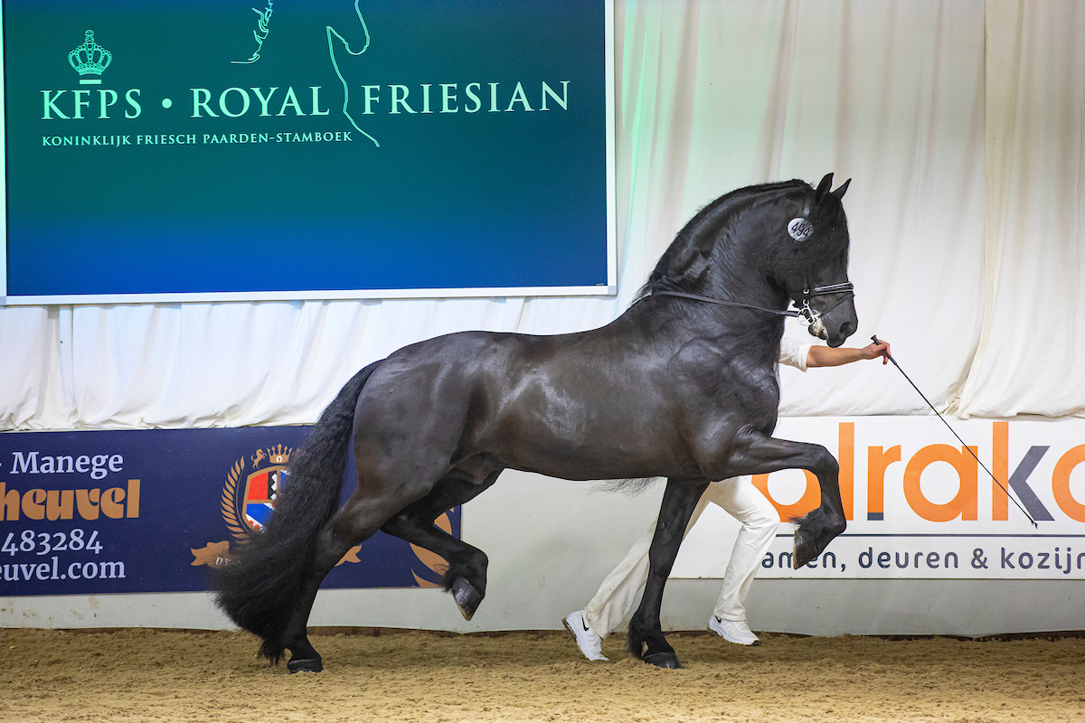 Elias 494 voorlopig goedgekeurd, Mees 497 blijft op wacht - KFPS