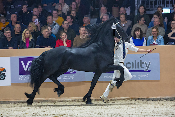 HK Nieuws: Jimte 533 en Hildwin 528 beleven weergaloze première in het ...