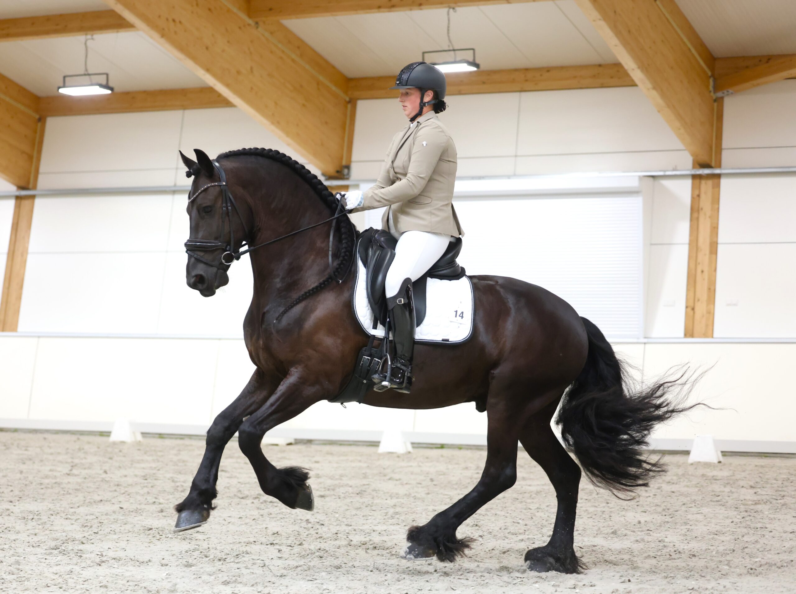 Dressuurcompetitie Amerzoden: dubbelslag voor Laura met Floris en ...