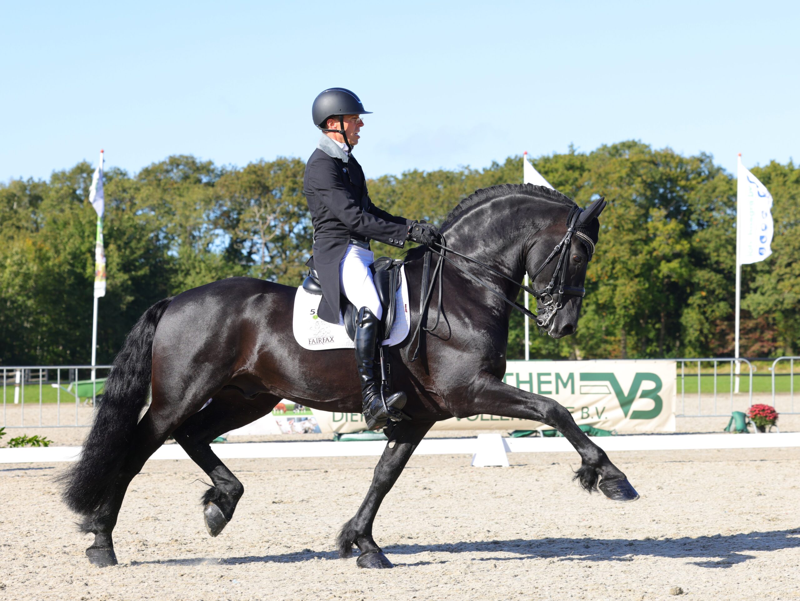 Subtop: Succesvolle week voor de Friese paarden - KFPS