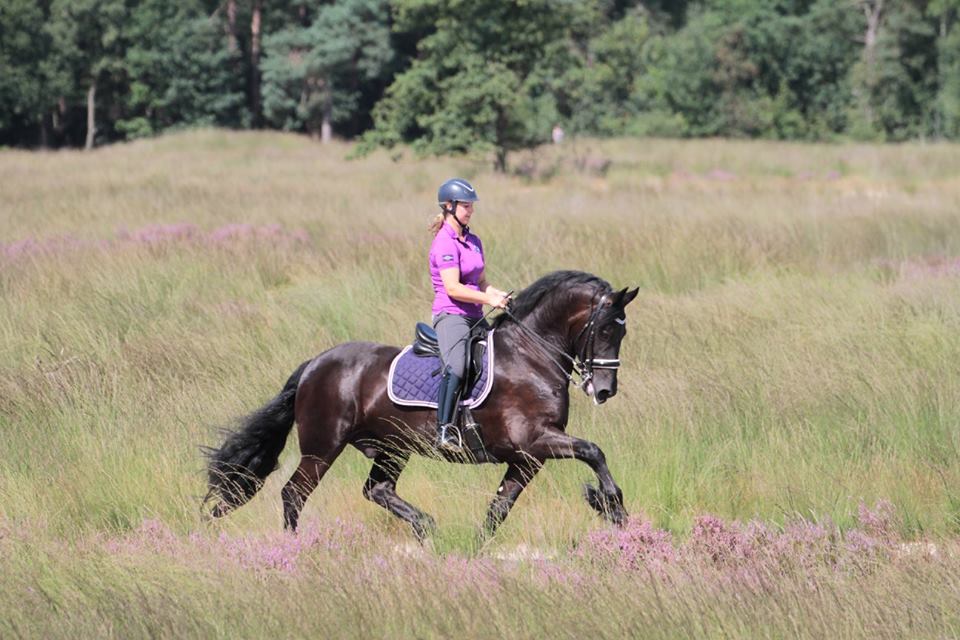 GP-debuut Laura Roling met Tsjalling (Leffert 306): ‘Je hoopt op 60% ...