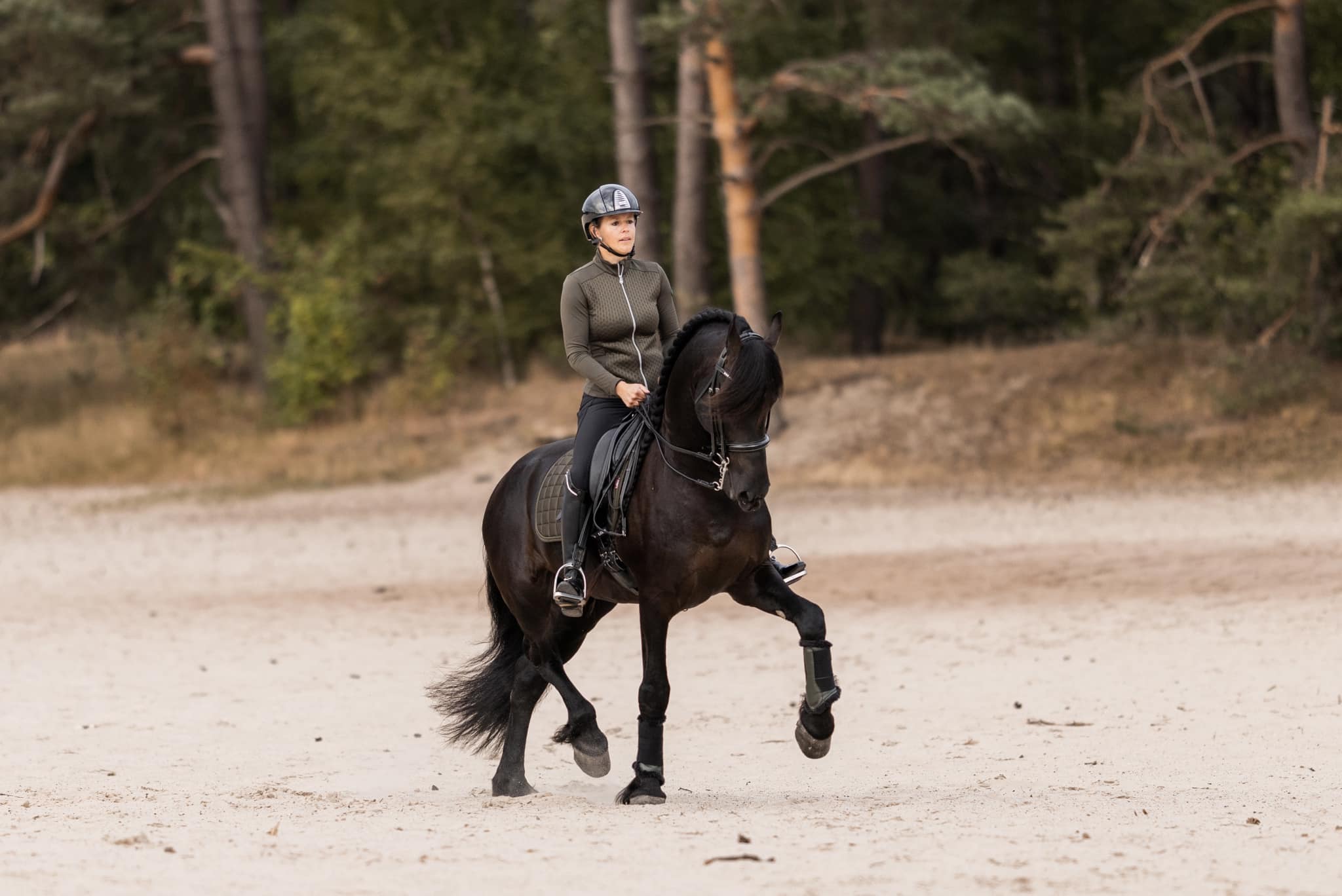 Subtop: Alberto (Jouwe 485) en Gentleman Jack (Hessel 480) in de ...