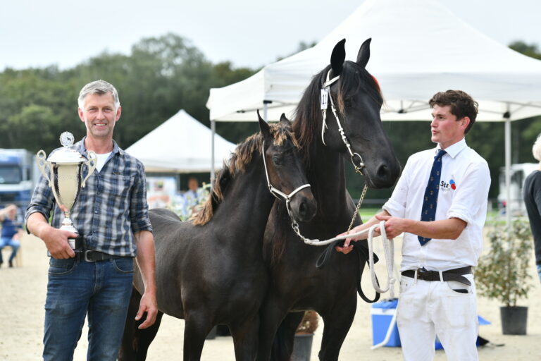 'Hynder fan Harich' goes Hengstenkeuring 2026 - KFPS