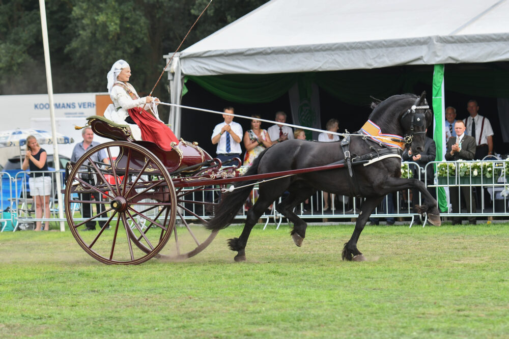 Terugblikken op 2019 met Sybren Minkema: 'Ytse en Mario hebben ons dit ...
