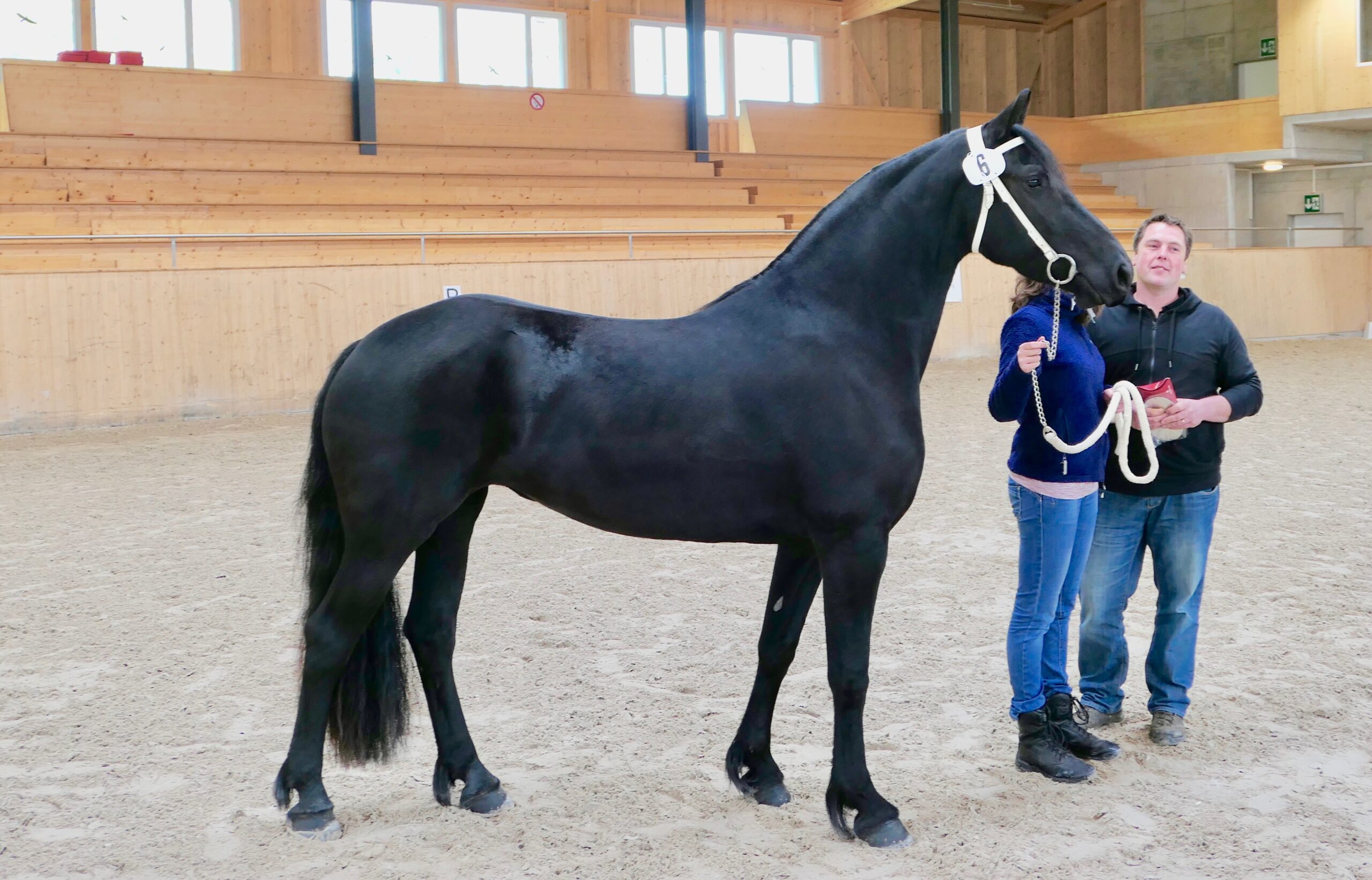 Barinja van Aeueli (Jasper 366) opnieuw kampioen in Zwitserland - KFPS