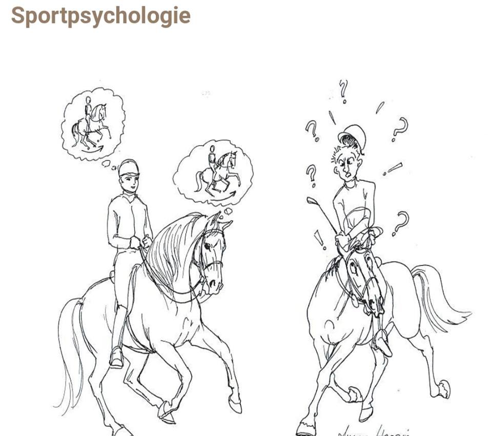 Sportpsycholoog Mark Schuls: ‘rij voor een goed resultaat, niet voor ...