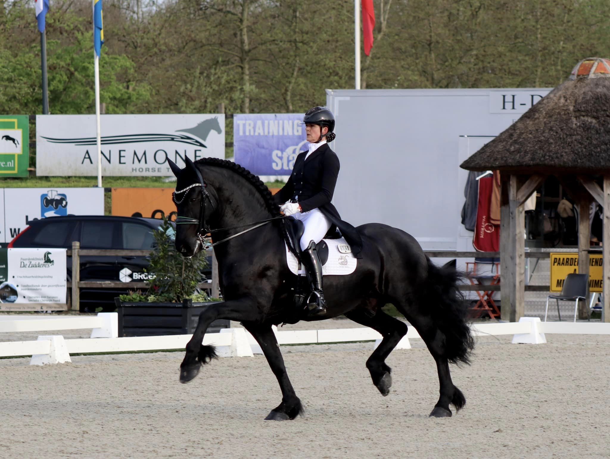 Hennie Roffel na geslaagd CDI Tolbert: ‘Op naar meer mooie ...
