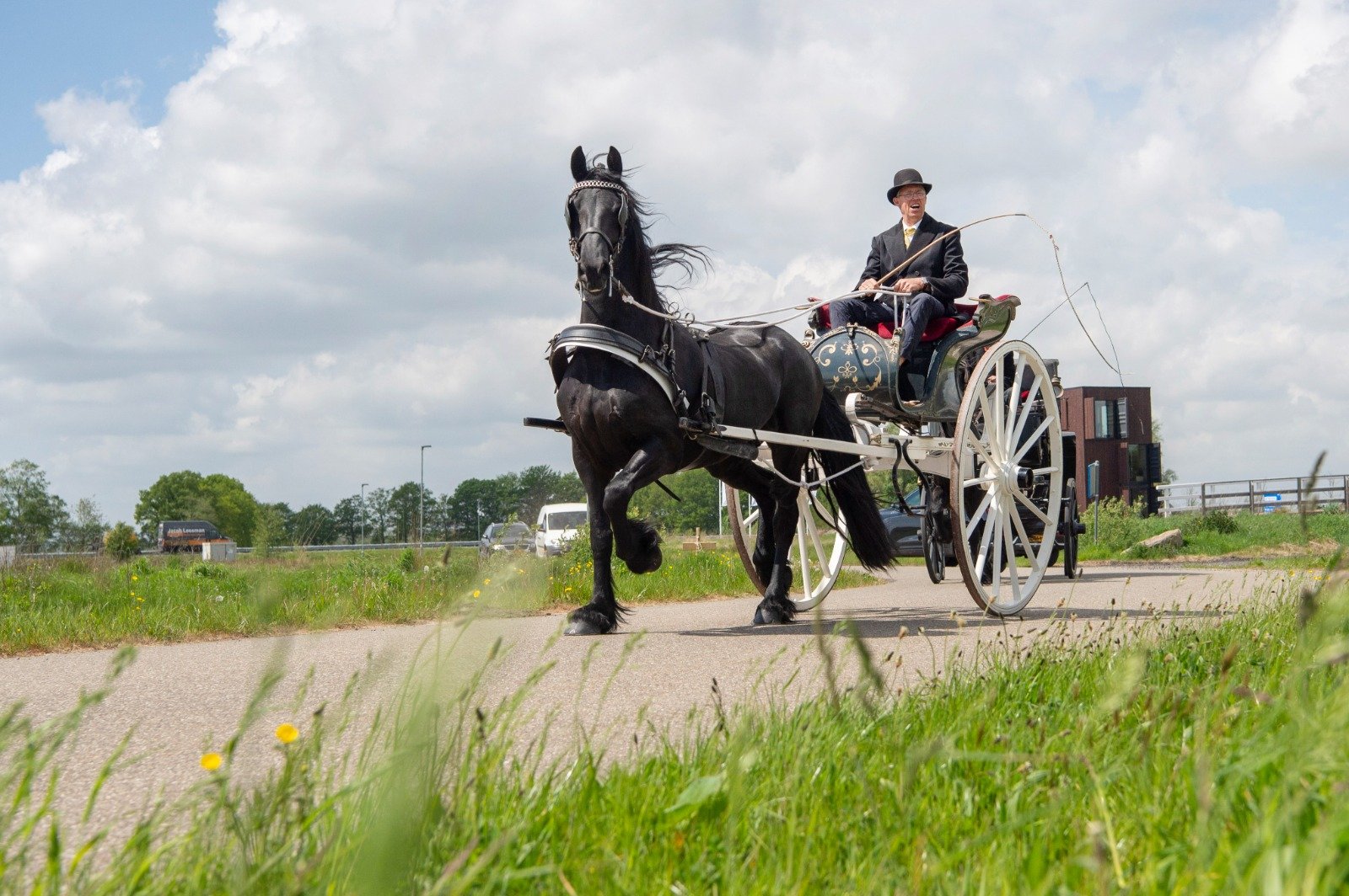 Sjoerd Miedema: ruim 7 uur op de sjees met drie verschillende Friese ...