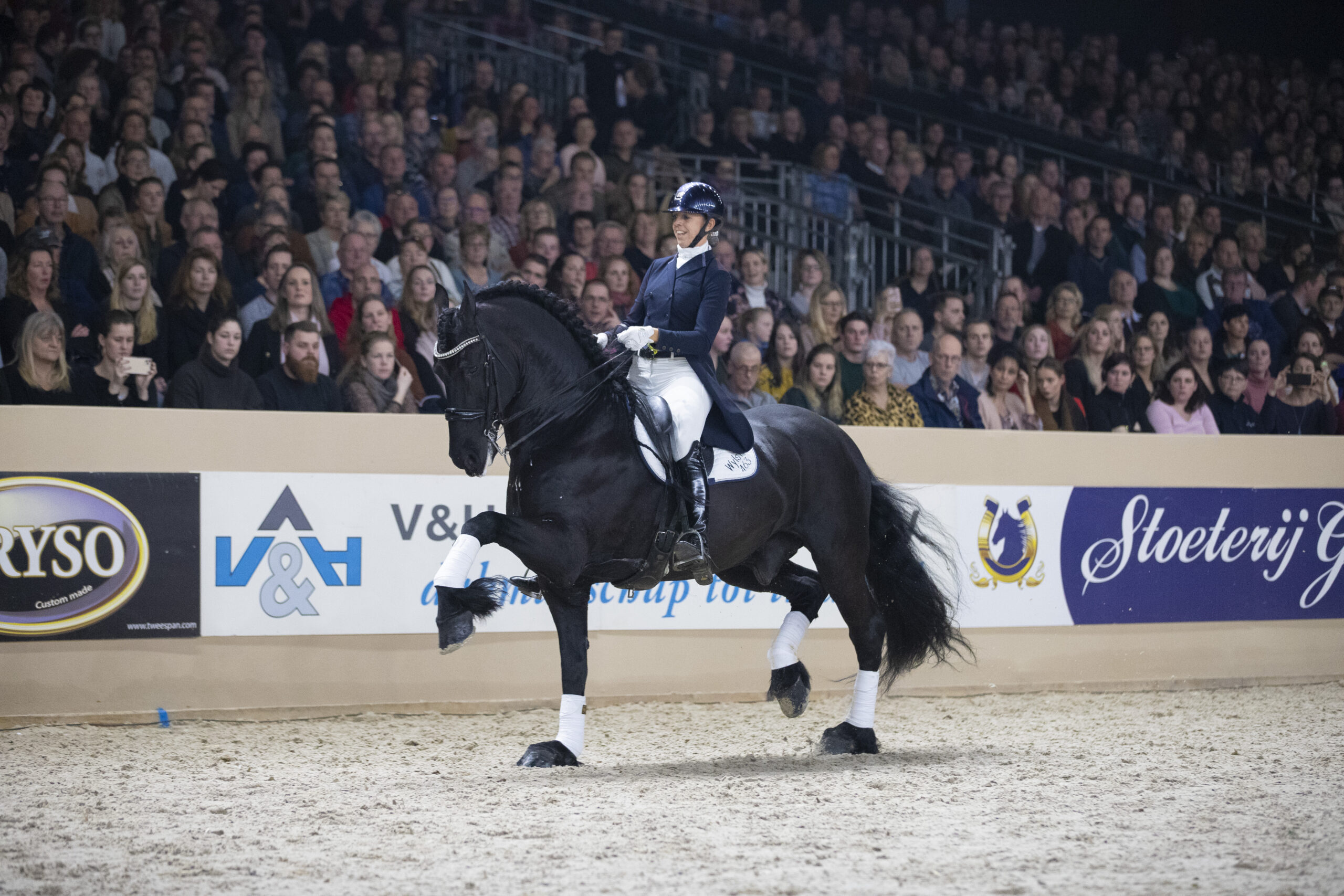 Live te volgen: Friese paarden op de KWPN Stallion Show - KFPS