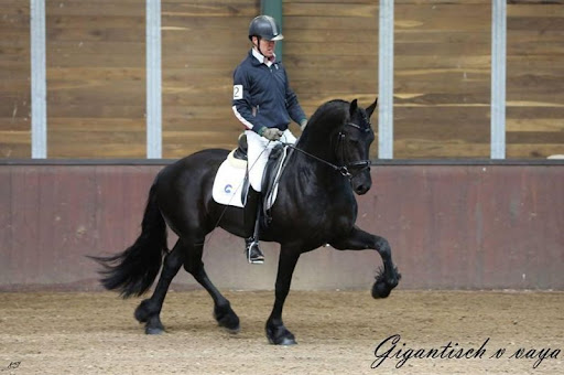 Peter Spahn heeft nieuwe 'Ferrari' op stal (met video) - KFPS