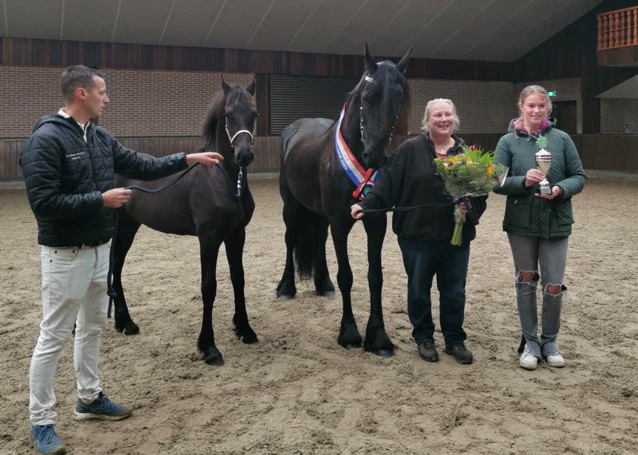 Casper (Kees 531) en Brechje (Hilbrand 525) veulenkampioenen fokdag Midden Nederland - KFPS