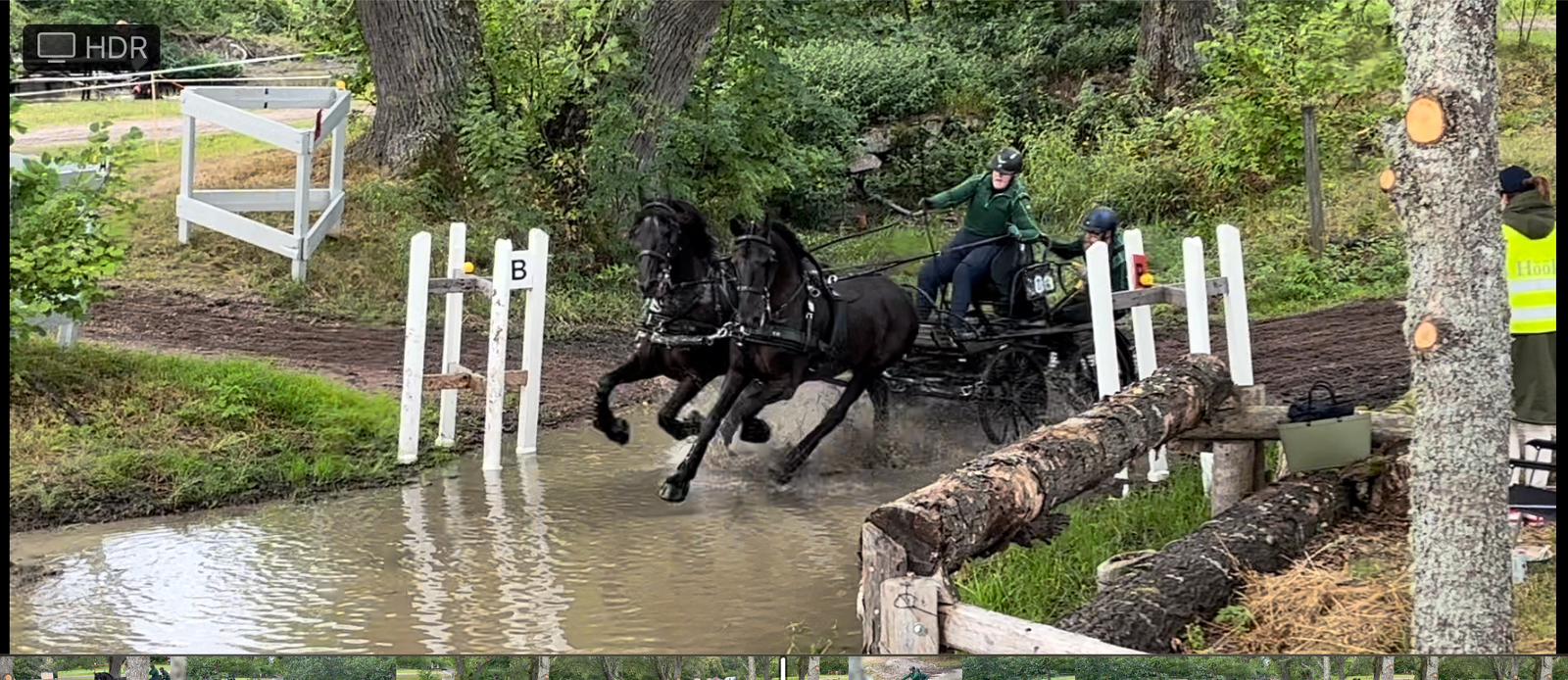 Amanda Krogstad Zweeds kampioen samengesteld mennen (met video) - KFPS