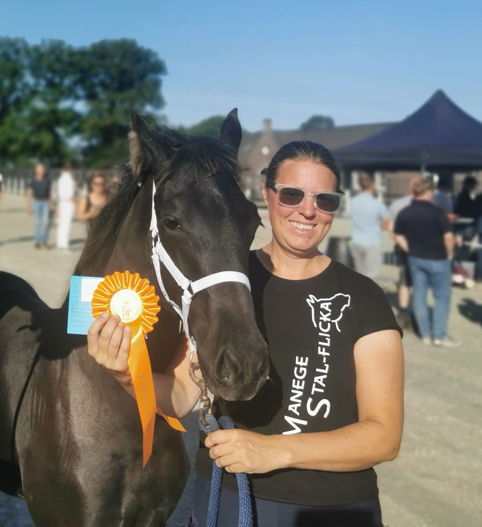 Veulenkeuring Lunteren: 16 eerste premies, Kees 531 hofleverancier - KFPS