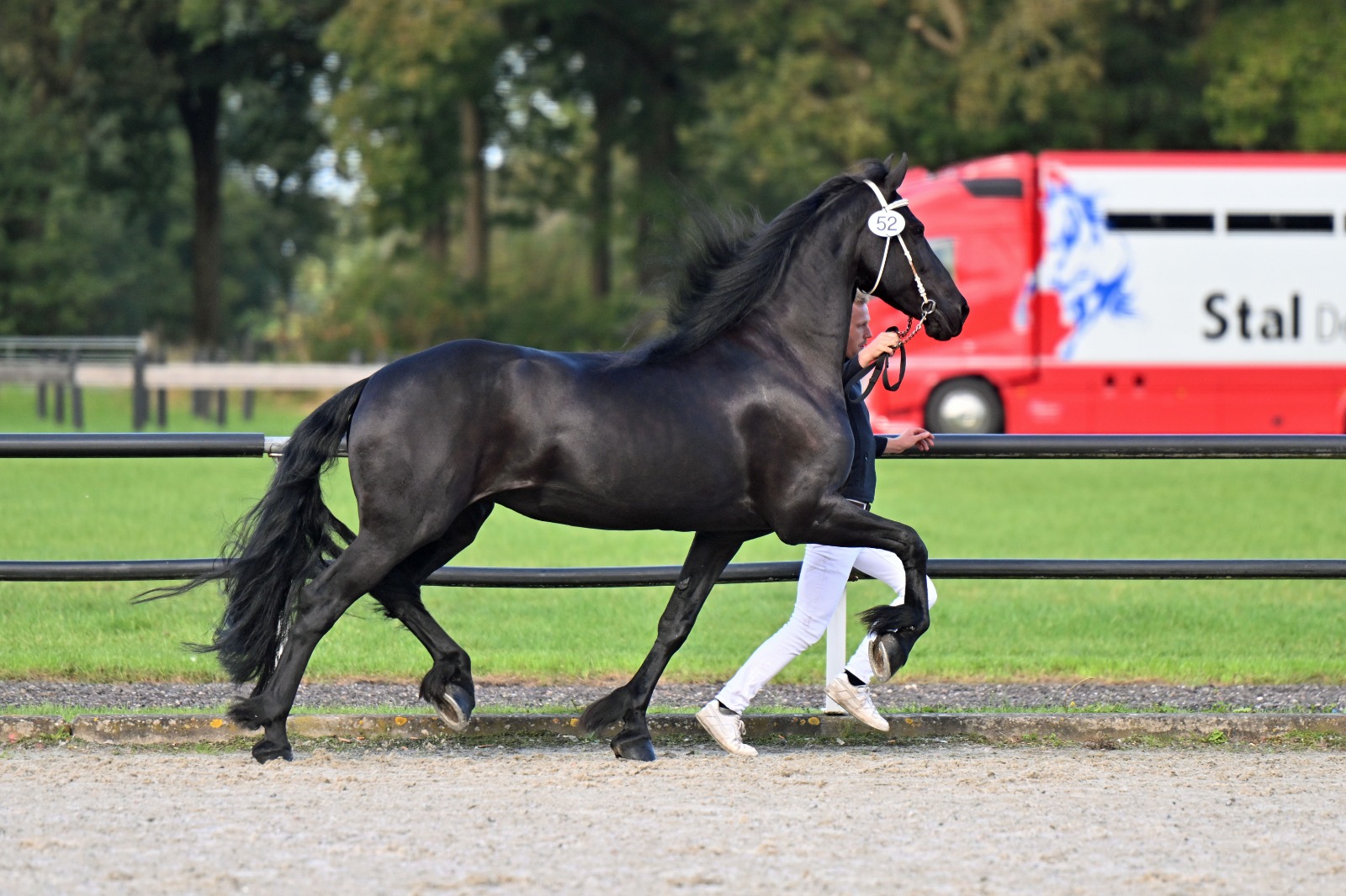 Stamboekkeuring Harich: 15 Sterren - KFPS