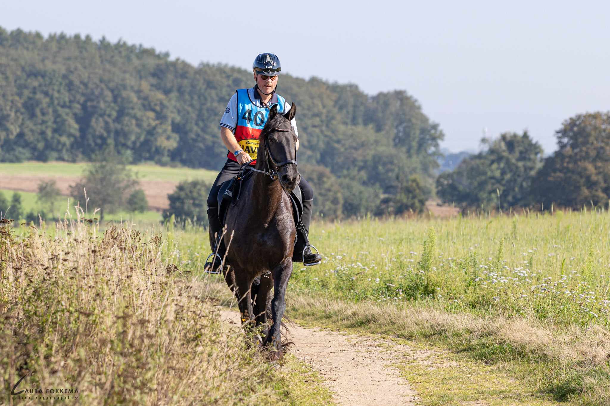 Teske Paulien van ’t Koetshues (Andries 415) wint brons op Hippiade ...