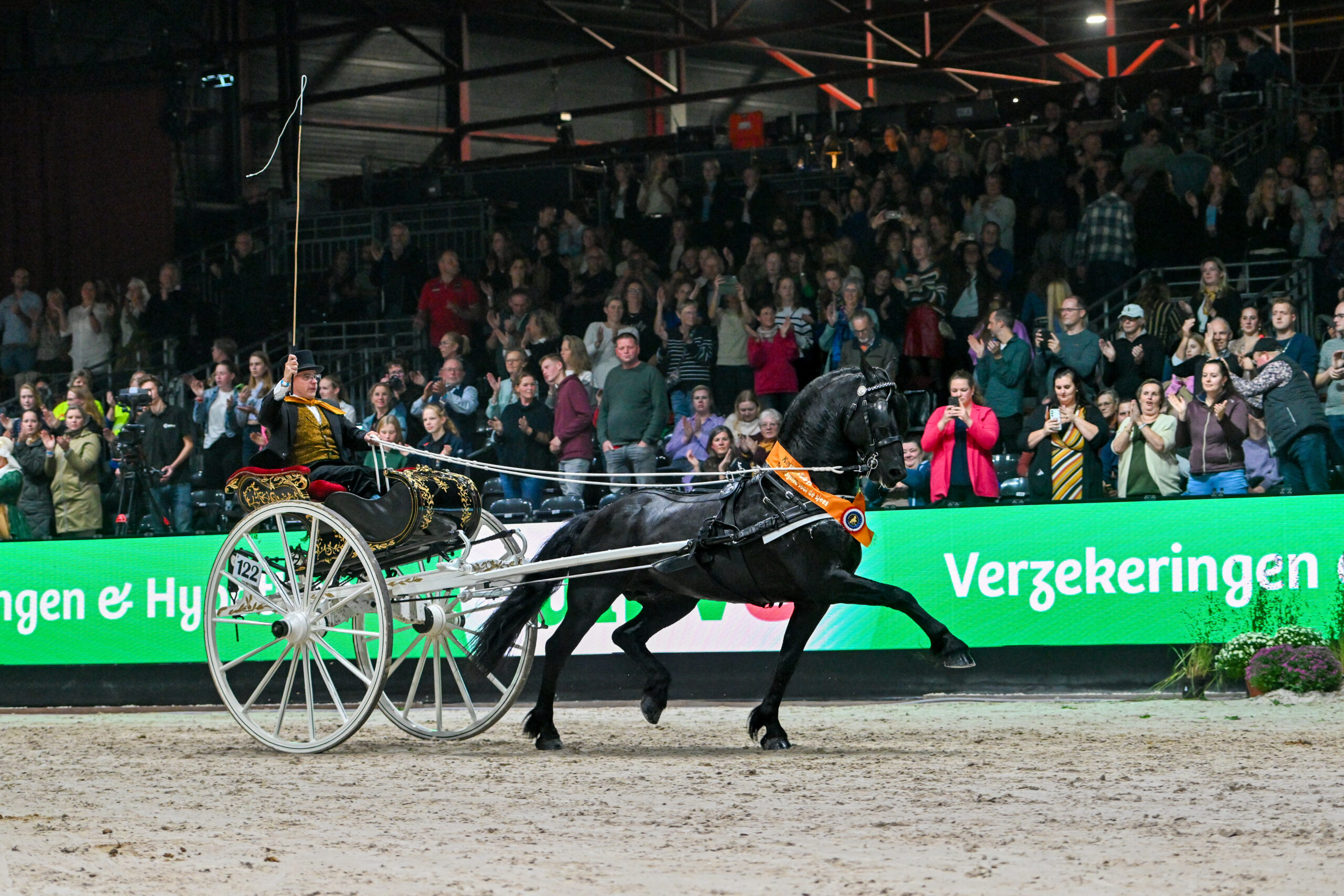 Gosse 526 nieuwe kampioen Friese dekhengsten voor de sjees - KFPS