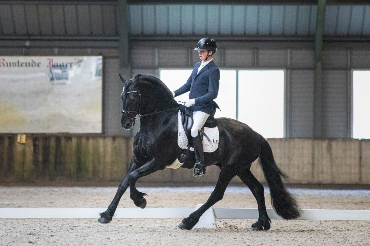 Robin van Lierop succesvol met Ilja (Jurre 495): ‘Heel gaaf, Friese ...