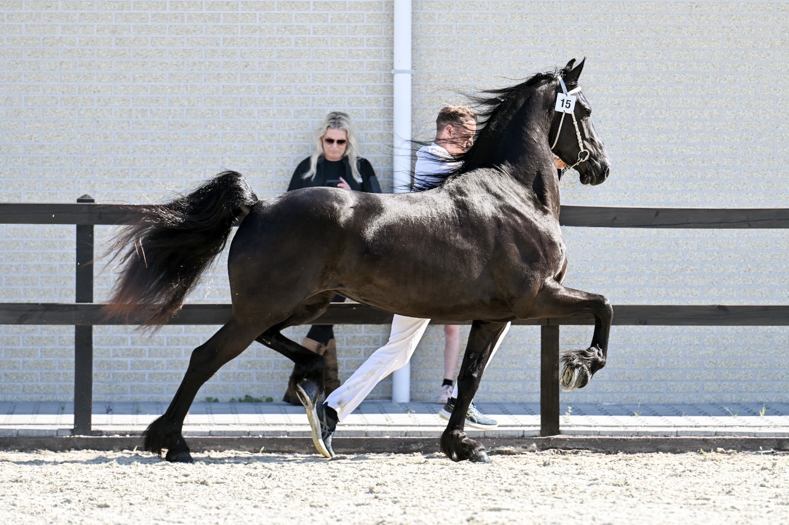 Locatiekeuring Fan de Kadyk: acht Sterren, drie met een eerste premie ...