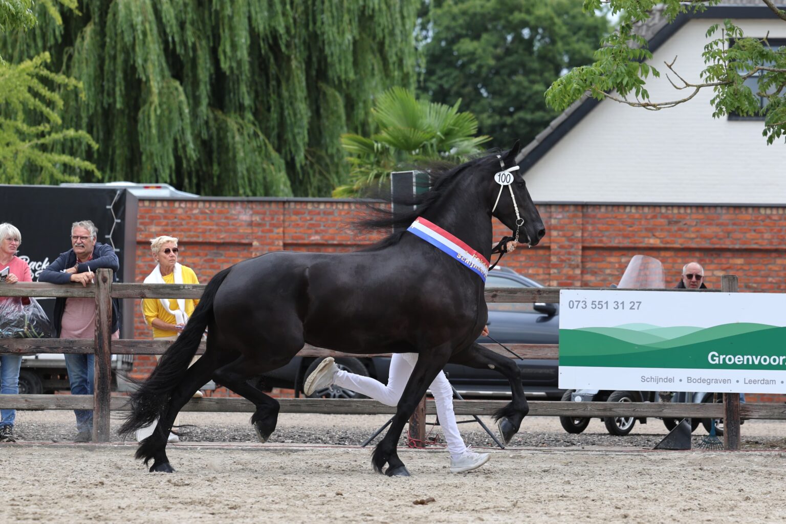 Lotte van Bloemhof (Jehannes 484) algeheel kampioen in Schijndel - KFPS