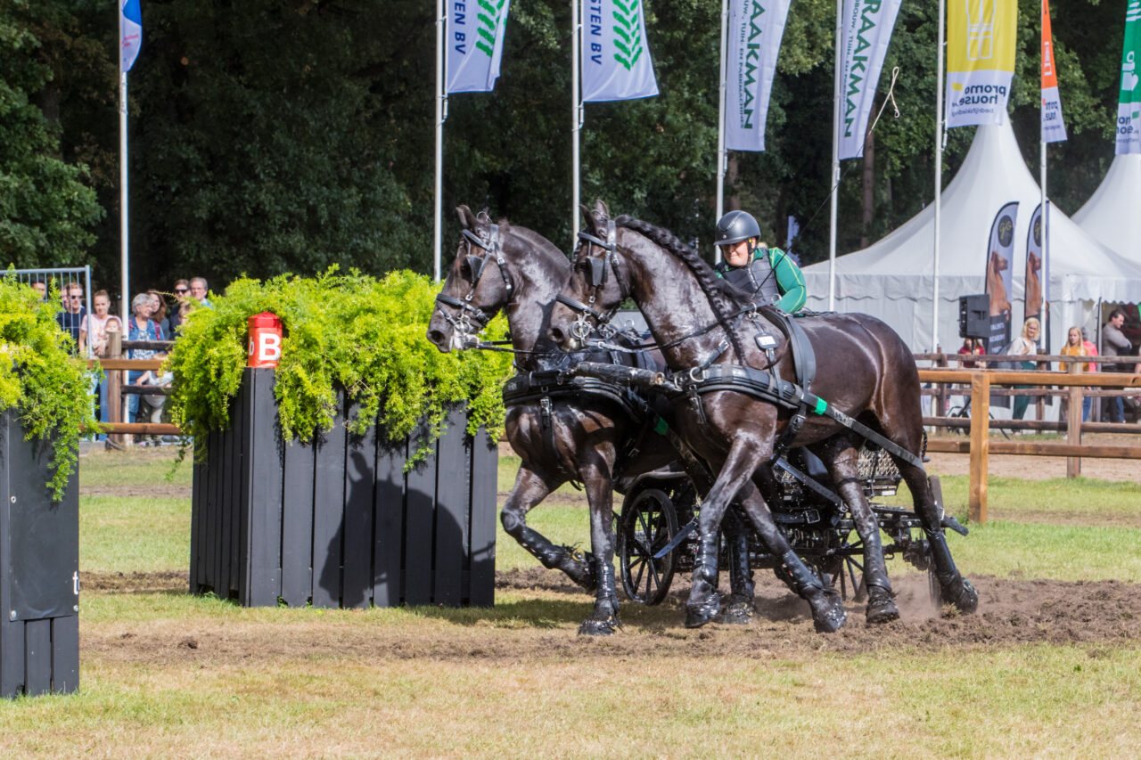 Amanda Krogstad: 'Heel tevreden over ons WK Tweespannen' - KFPS