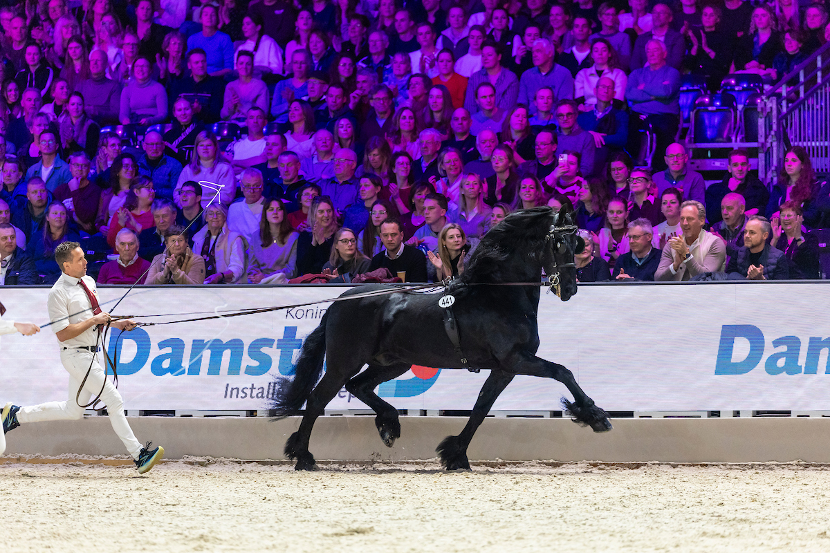 HK-nieuws | Rubriek 2: Jehannes 484, Markus 491, Nane 492, Jurre 495 en ...